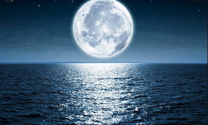 Moon-Lit Bio Glitter – Lit Cosmetics